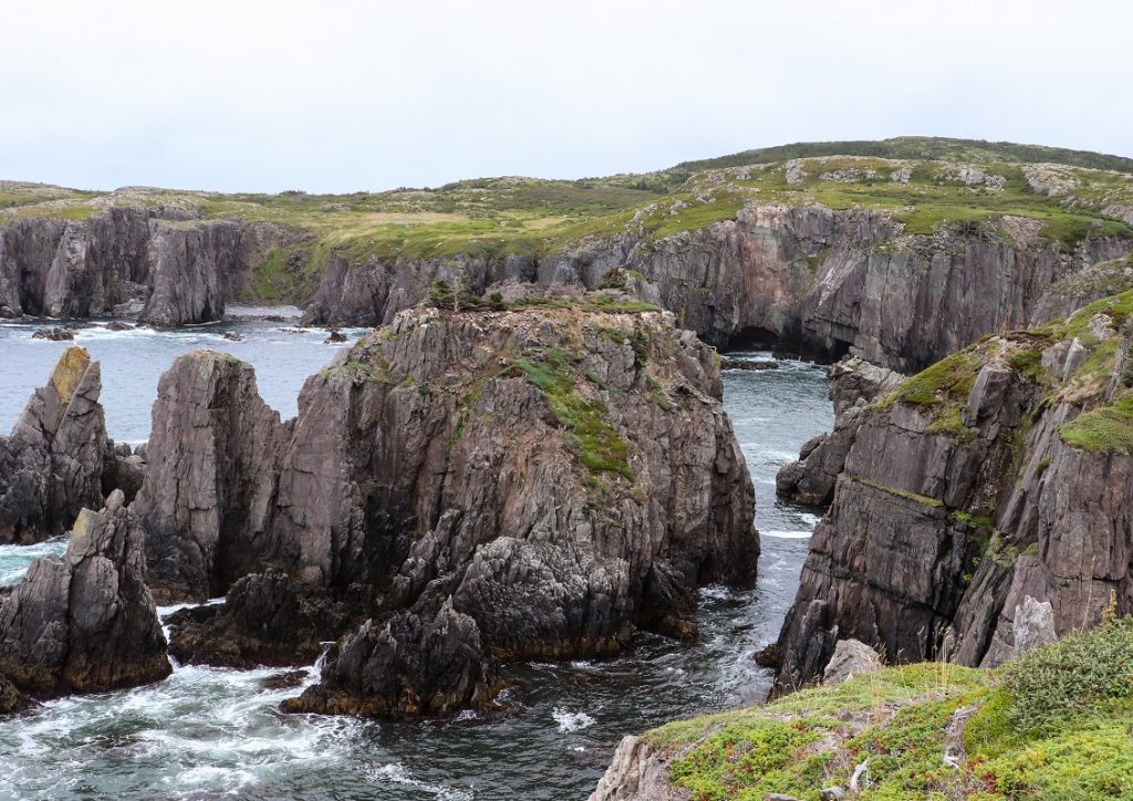 Newfoundland Trip (Part One) - Twillingate, Bonavista, Trinity