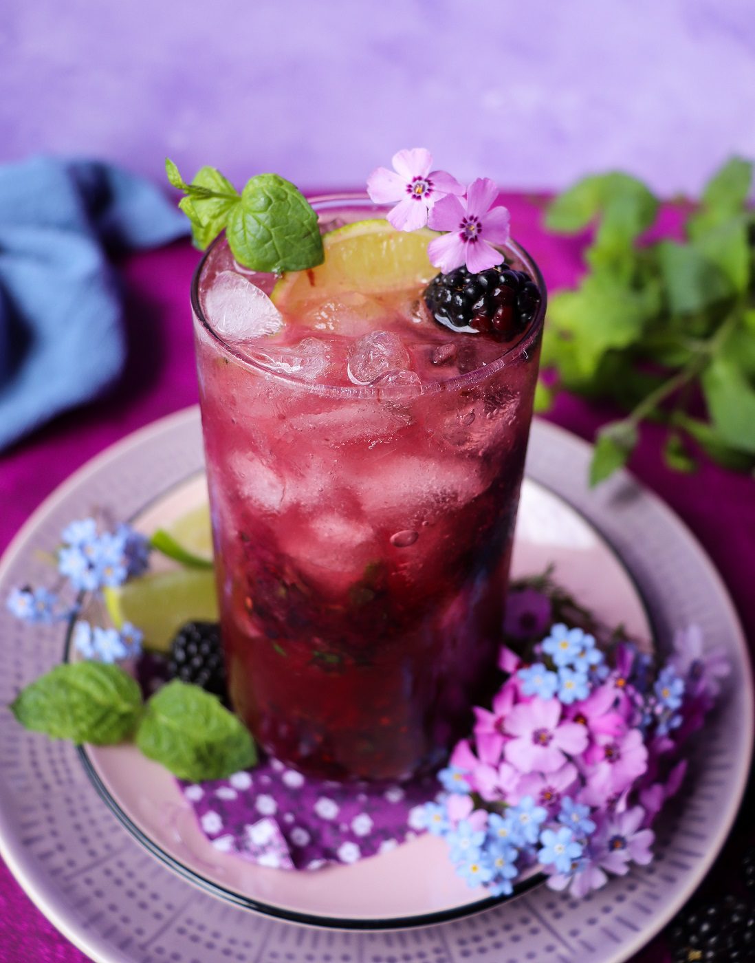 Blackberry Mojito Cocktail Recipe