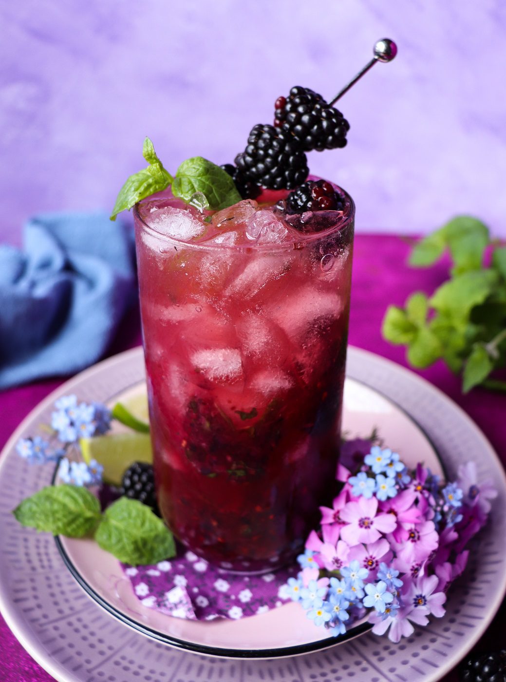 Blackberry Mojito Cocktail Recipe