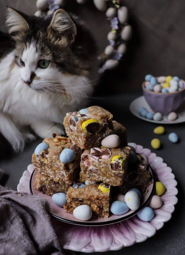 Easter Bars with Eggies (Chewy Graham Coconut Walnut Bars)