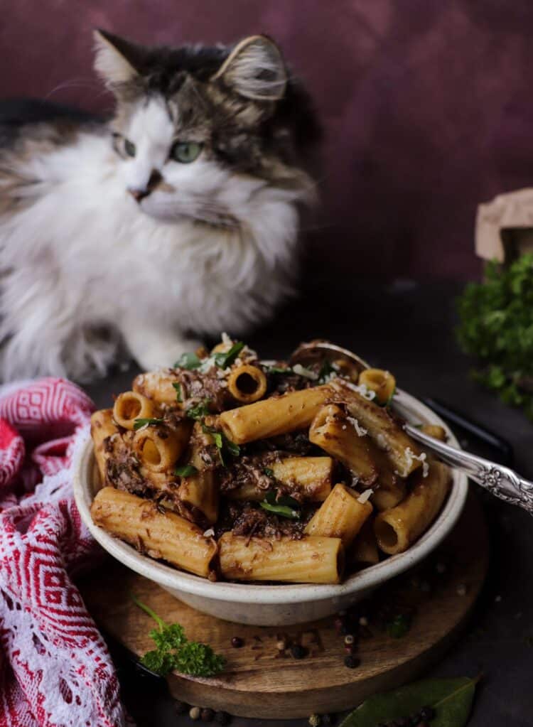 Croatian Beef Ragù Pasta (Šporki Makaruli from Dubrovnik)