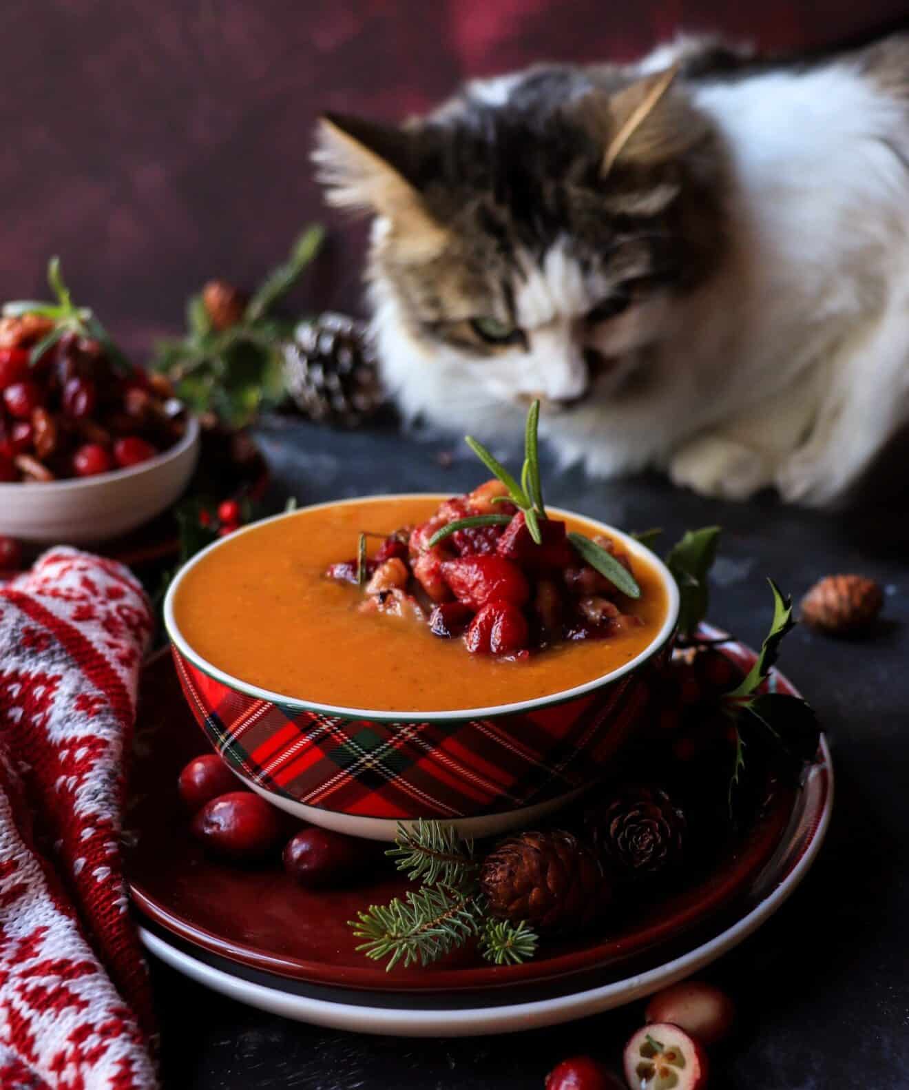 Festive Holiday Pumpkin Soup with Cranberry Walnut Relish