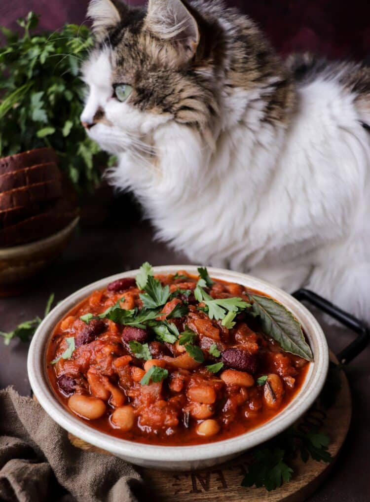 Easy Bean Stew Recipe - Hearty One-Pot with Canned Beans