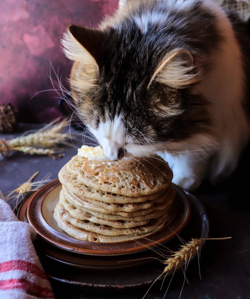Acadian Ployes - Traditional Buckwheat Pancakes Recipe