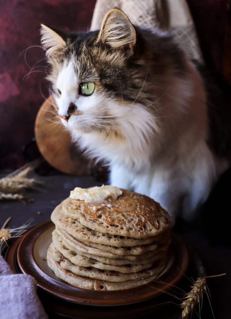 Acadian Ployes - Traditional Buckwheat Pancakes Recipe