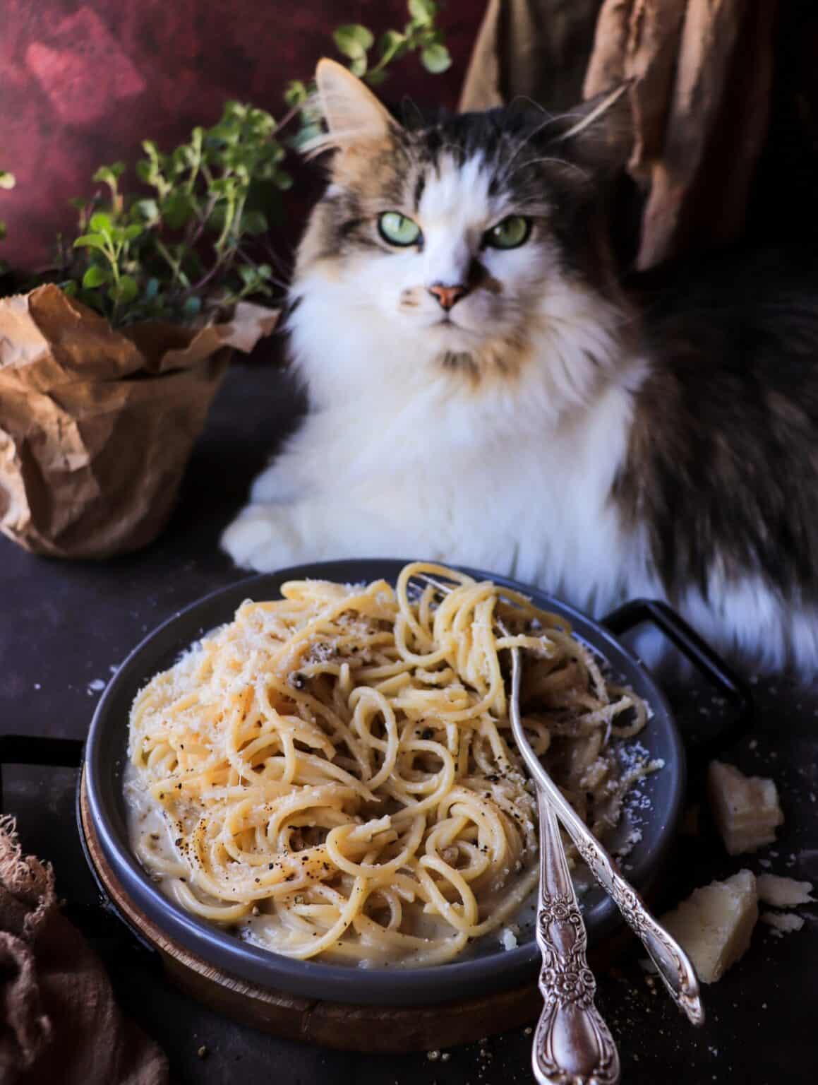 How to Make Cacio e Pepe: The Classic Roman Method