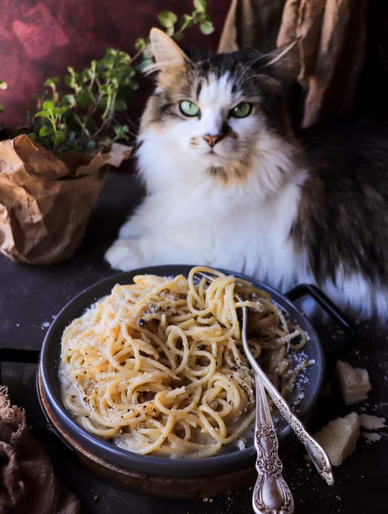 How to Make Cacio e Pepe: The Classic Roman Method